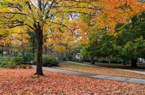 Lehigh Supplemental Essays 2025 2026 Requirements Prompts And Winning