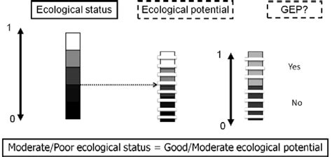 Relationship Between Ecological Status And Good Ecological Potential Download Scientific