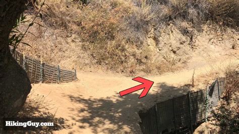 Mt Wilson Trail Guide