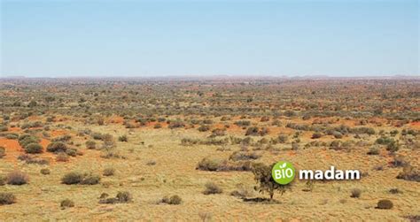 Simpson Desert Secrets Of The Red Sands Biomadam