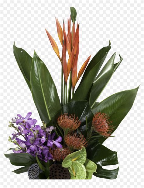 Open Texture In Full Resolution In New Tab Heliconia Hd Png Download 2358x2966 6258057