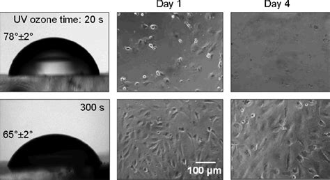 Clear Castable Polyurethane Elastomer For Fabrication Of Microfluidic