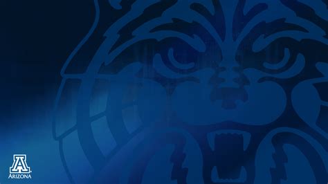 University Of Arizona Wildcats Wallpaper