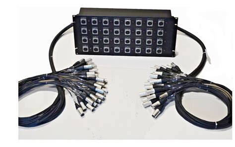 Split Snake Qixav Toronto