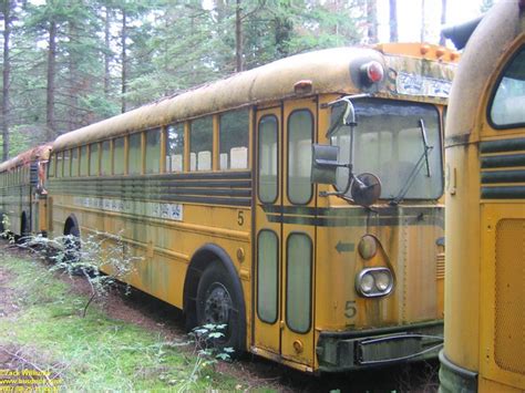 Gillig School Bus 5 Gillig School Buses Formerly Used On Flickr
