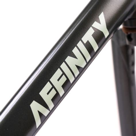 Affinity Cycles Lo Pro Track Frame Set