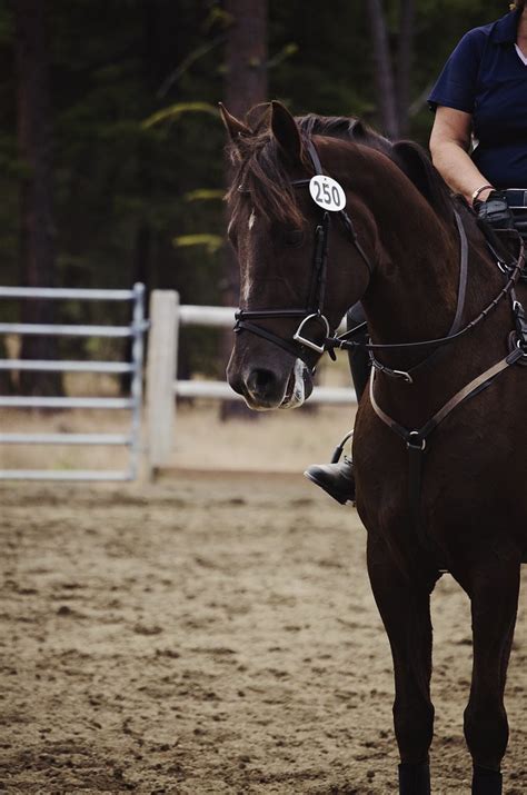 Dsc0144 Emily Eckhardt Photography Flickr