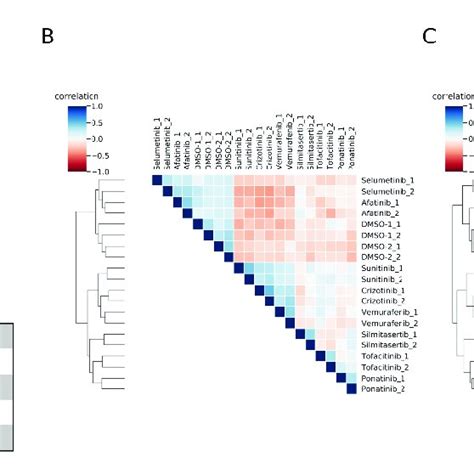 Phosphoproteomic Profiling Of Inhibitor Treated Hela Cells A Download Scientific Diagram