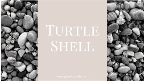 Turtle Shell — No Stone Left Unturned