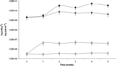 Bacterial Abundance Determined By Dapi Staining Concentration Of The