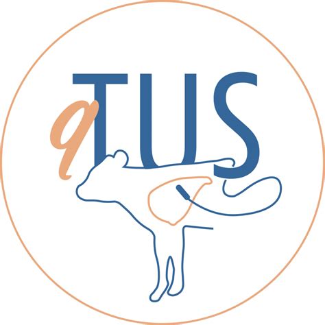 Thomas Lowie On Linkedin Qtus