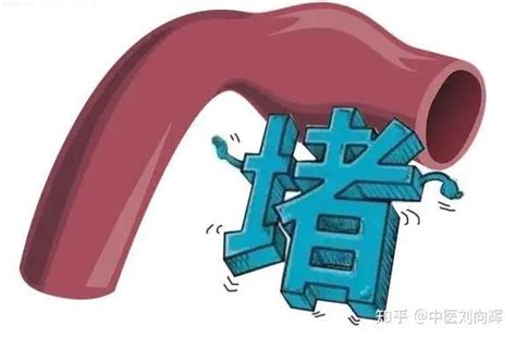 体虚还不敢补?中医:忽略了这两点,小心越补越虚 知乎 体虚还不敢补?中医:忽略了这两点,小心越补越虚 知乎