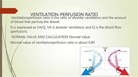 Gas Diffusion In Lung Pptx Lung And Respiratory Health Diseases