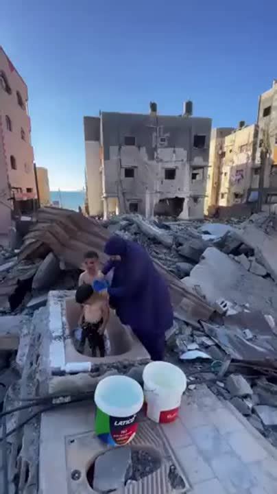 Video Ehsan Seyedi Hosseininia On Linkedin Freepalestine