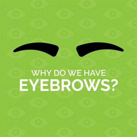 What Good Are Eyebrows They Protect Our Eyes By Keeping Sweat And Rain Out Eyecare Eye Care