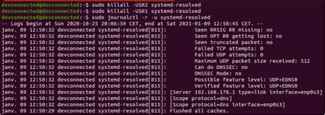 How To Flush DNS Cache On Linux Junos Notes