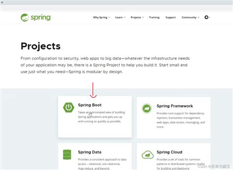 初识SpringBoot SpringBoot快速入门保姆级教程一 阿里云开发者社区
