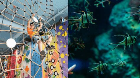 Adventure Park Marassi Aquarium And Underwater Zoo Combo Tickets