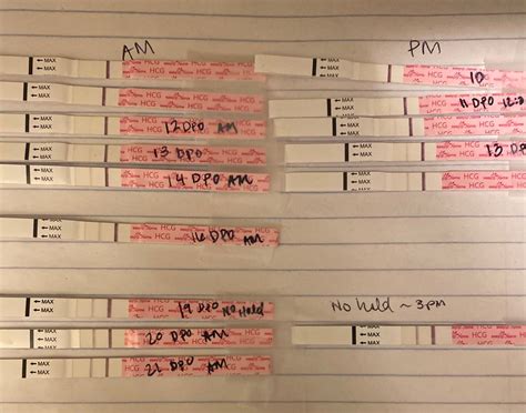 Line Progression With Corresponding Hcg Levels Using 56 Off