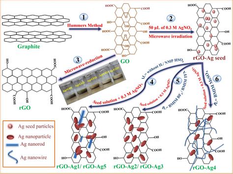 Schematic Illustrations For The Synthesis Of Go Rgo And Their Silver Download Scientific