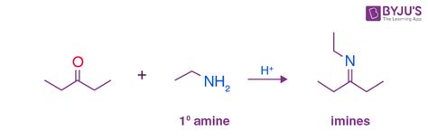 Amine Imine Amide