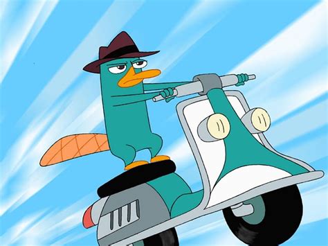 Perry The Platypus Agent P Wallpaper