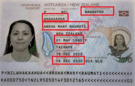 What Is An Id Number On A Passport At Grant Schaefer Blog