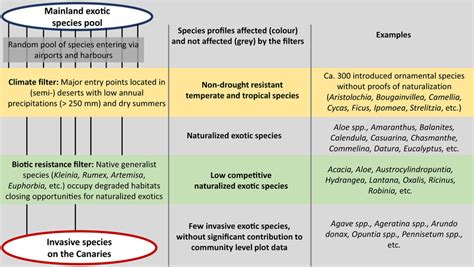 Schematic Figure Representing The Two‐step Filter That Precluded Many Download Scientific