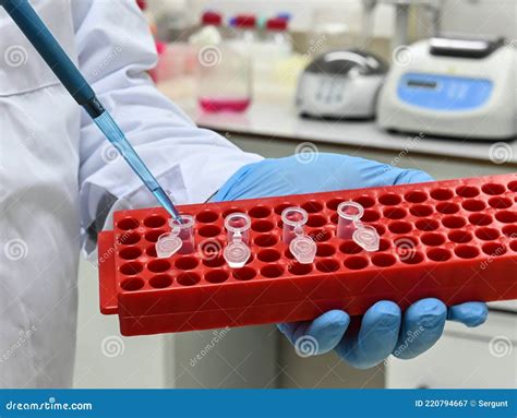 The Study Of A Biological Sample In The Laboratory Stock Image Image