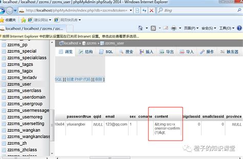 Zzcms代码审计 Csdn博客