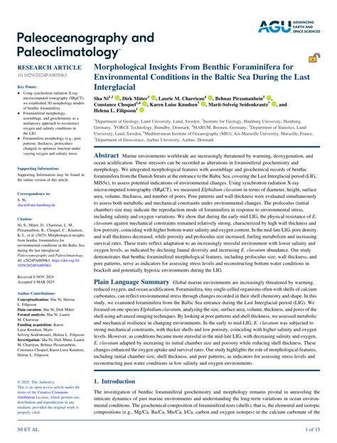 Pdf Morphological Insights From Benthic Foraminifera For