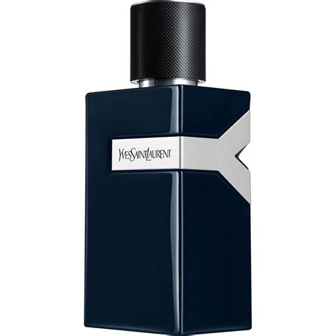 Yves Saint Laurent Ysl Y Le Parfum 100 Ml Wehkamp