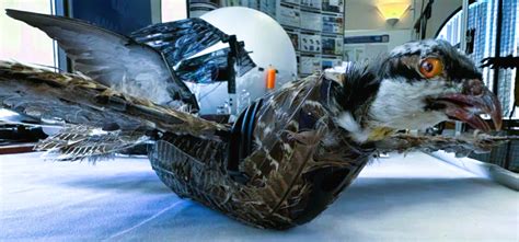 Dead Birds Being Turned Into Drones Top Stories Hub
