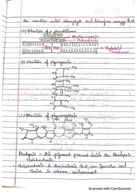 Microbial Physiology Notes Microbiopdf