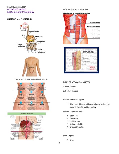 Notes On Git System Assessment Git Assessment Anatomy And Physiology Anatomy And Physiology