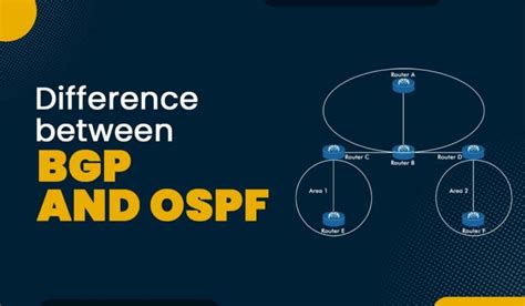 Bgp Vs Ospf Whats The Difference Pynet Labs