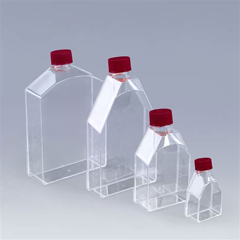 Cell Culture Flask Tc Treated Laboratory Flasks Fdcell