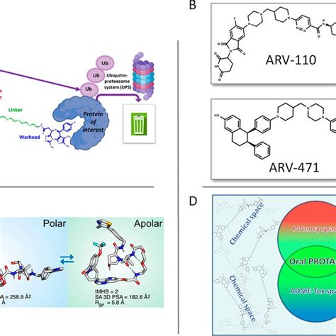 A Protac Building Blocks B Chemical Structures Of Protacs In Phase