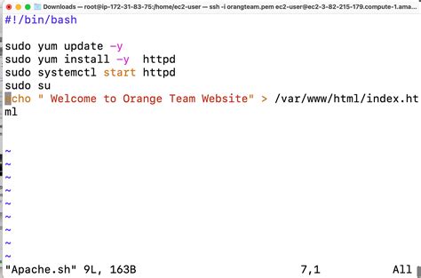 using ec2 to host a website in aws and deliver web content via bash