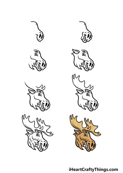How To Draw A Cartoon Moose
