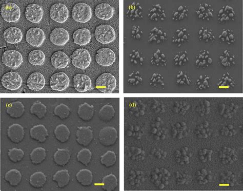 Sem Images Showing The Surface Topography Of The Molybdenum Disc Array