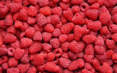 Raspberries Berries Wallpaper 2560x1600 24867
