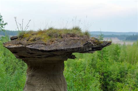 Hat Attractions Yakutia Isolated Rock Massif Clay Mushroom Stock