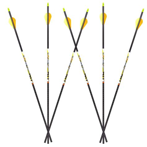 Carbon Express D Stroyer Small Diameter Arrows 350 Fletched 6 Pack