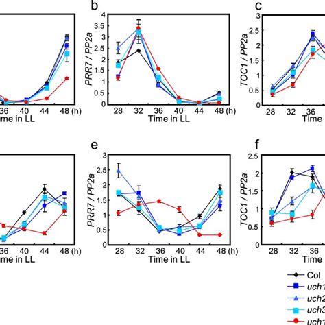 A Protac Mediated Ternary Complex Formation And Hook Effect As A Download Scientific Diagram