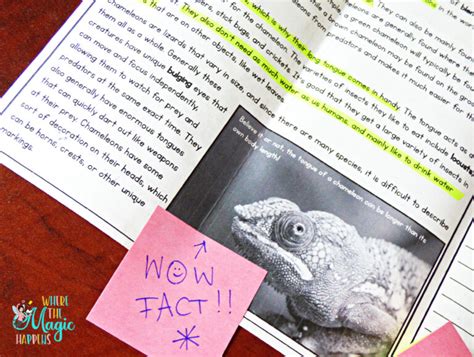 Powerful Annotations In Close Reading Where The Magic Happens