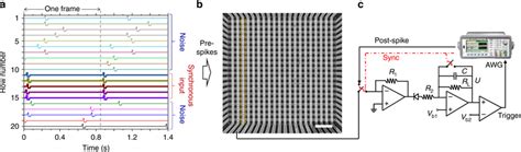 Spiking Neural Network Setup A Example Of Pattern Of Spikes Applied To
