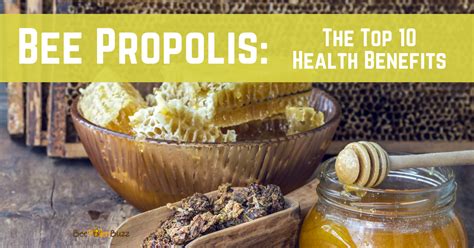 Health Benefits Of Propolis