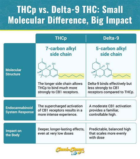 Thcp Vs Delta 9 How They Compare In Potency Effects And More
