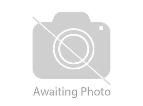 Beautiful Red Show Cocker Spaniel In Woking Gu22 On Freeads Classifieds